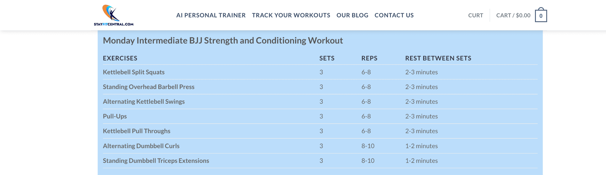 The Only Personalized Workout For BJJ You'll Ever Buy - The Best AI ...
